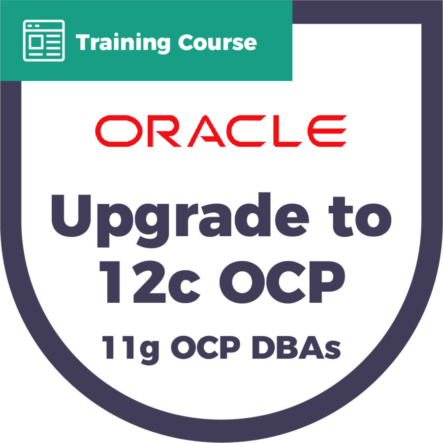 Oracle Database 12c Administration Oca Practice Labs Cybervista